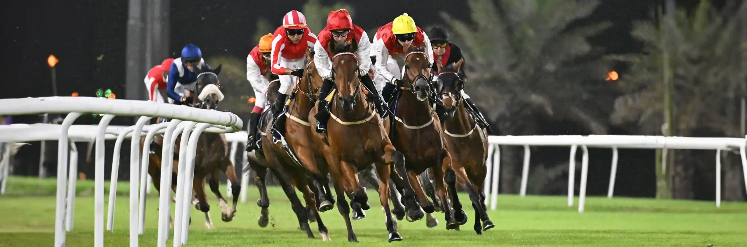 Bahrain Cup 2025 | Top Horses Competition - DokanWay